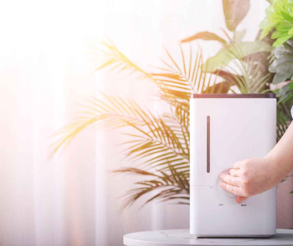 Do Dust & Pollen Force You To Upgrade Your Indoor Air Quality System ...